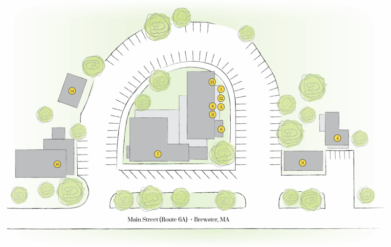 Home - Lemon Tree Village Shops